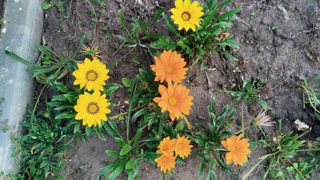 Территория Юрибей 2025