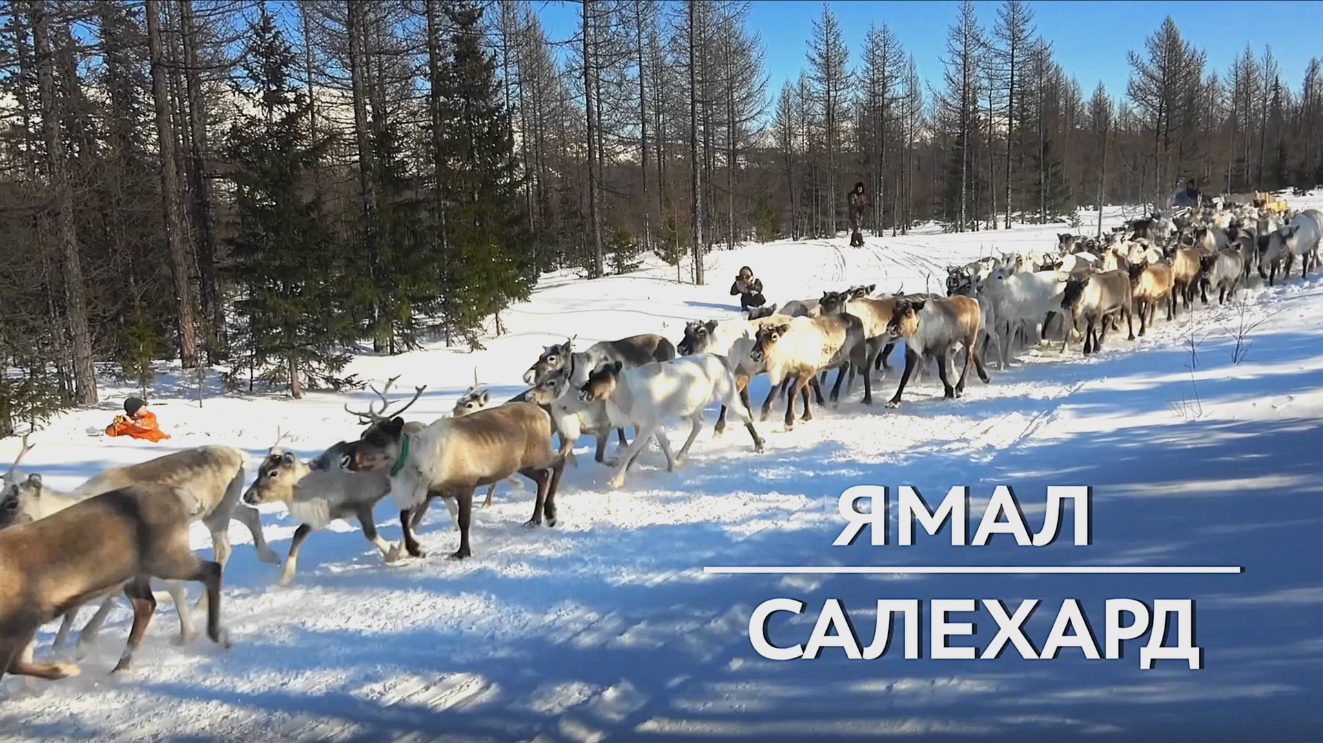 Ямал | Салехард | Полярный Урал