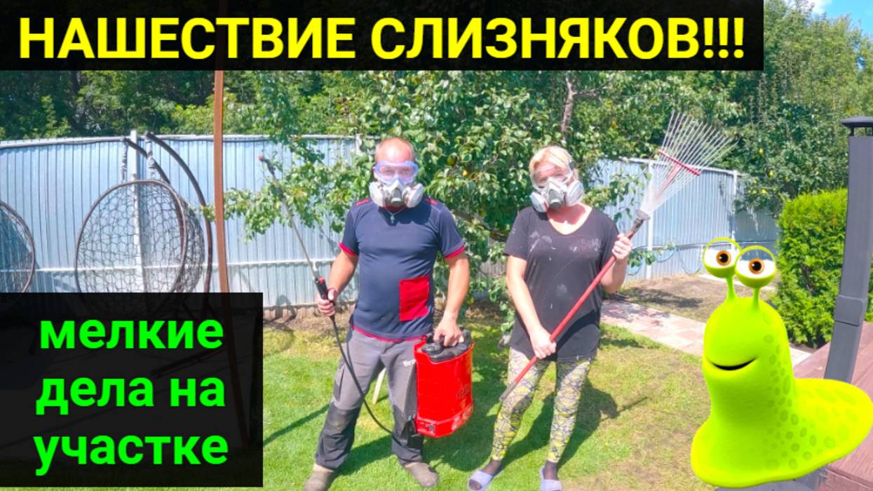 Борьба со слизнями. Как от них избавиться!