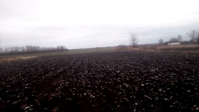 отчёт по огороду за 4 декабря