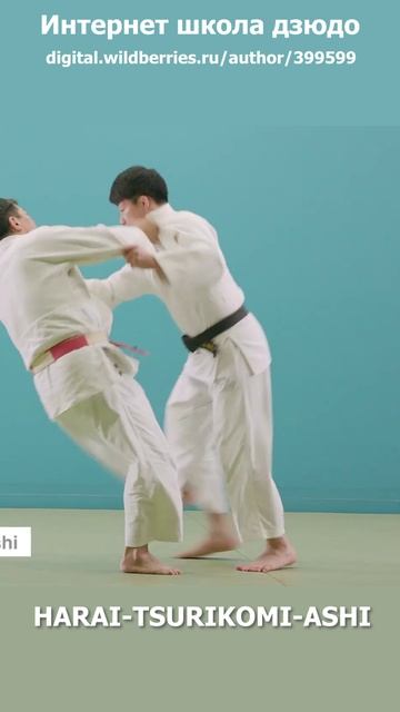 52Интернет школа дзюдо.Передняя подсечка под отставленную ногу.HARAI-TSURIKOMI-ASHI.