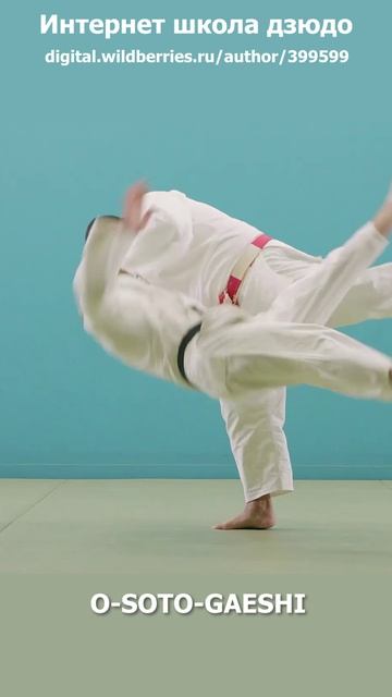 59Интернет школа дзюдо.Контрбросок от отхвата. O-SOTO-GAESHI.