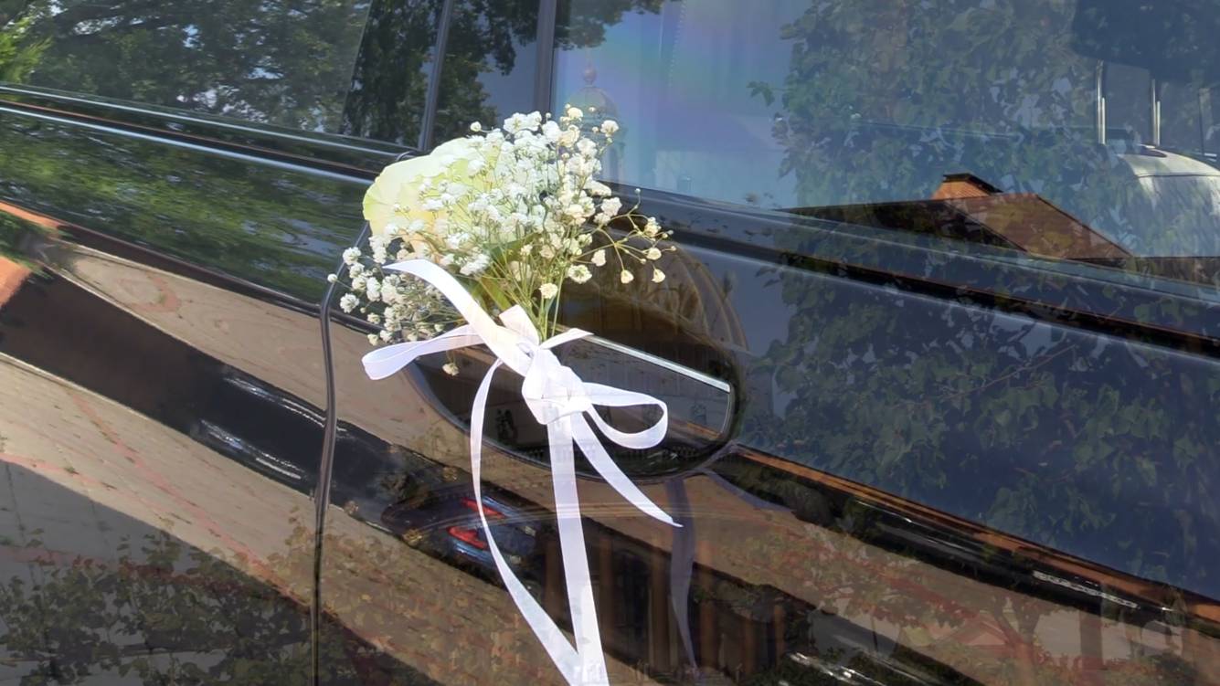 Пётр и София cвадебный ролик