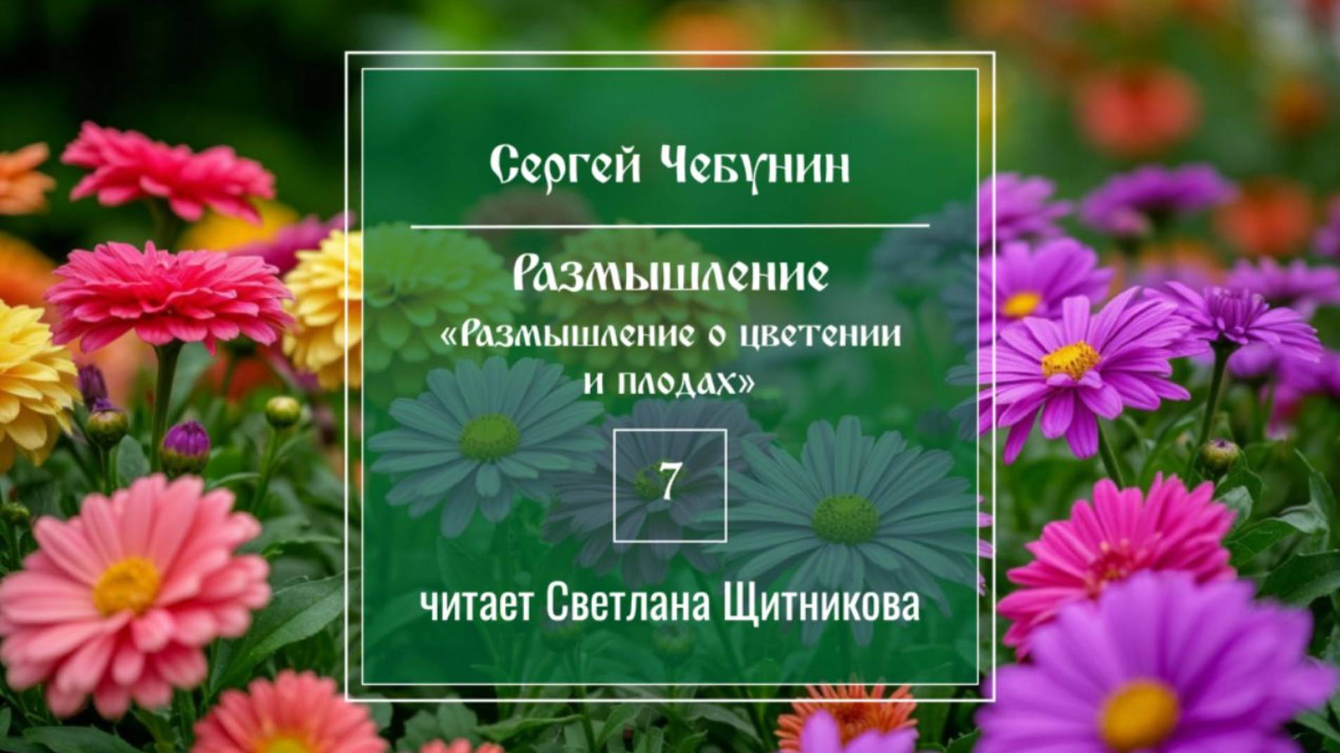 Размышление 7 (автор Сергей Чебунин, читает Светлана Щитникова)