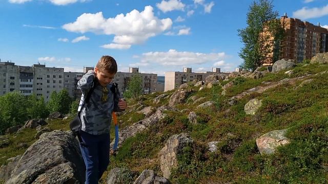 поймал всех призраков в лесу