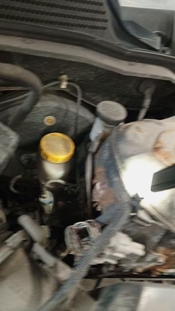 приколы с сервиса