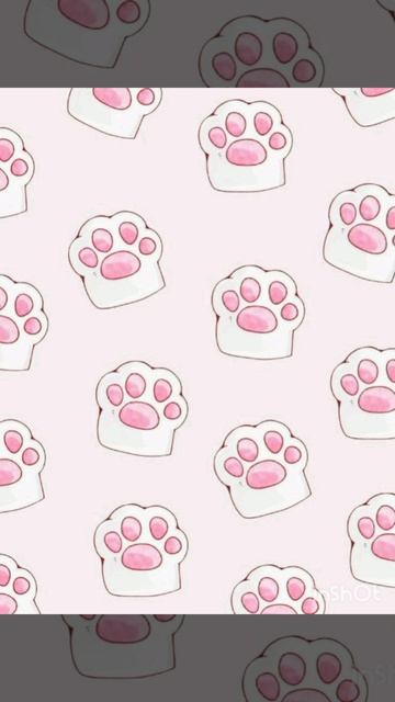 InShot_20250817_152911426