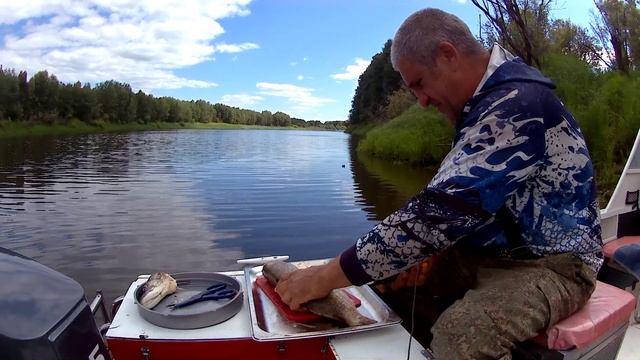 Приспособление для чистой очистки рыбы.