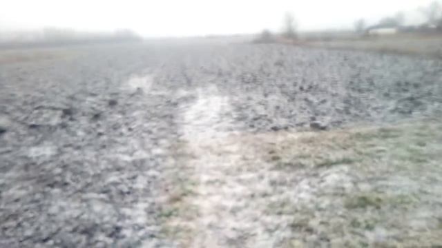 А что посадили в поле?!