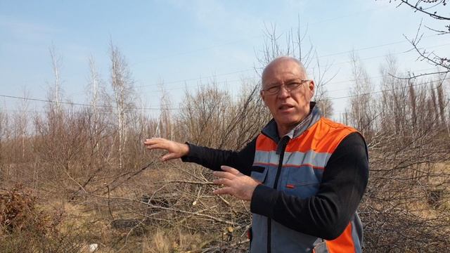 2020 04 04 Вишневые джунгли