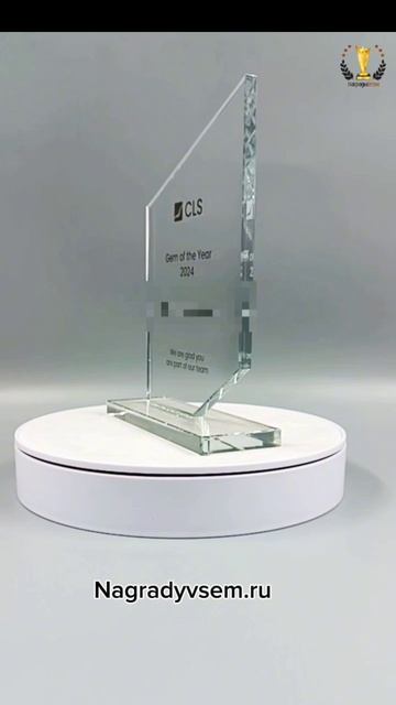 Награды из стекла по индивидуальной форме клиента