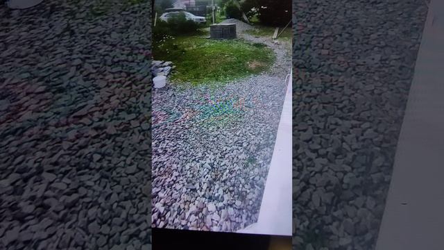 ДЭНИС И КРИПОНЯ ВЫБРАЛИСЬ НА ПРИРОДУ И ПОПАЛИ В ЛОВУШКУ