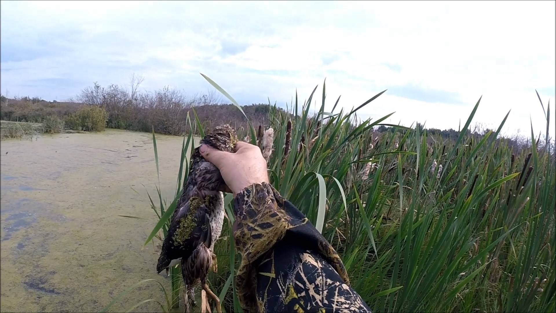 Открытие охоты на утку 2025 (Будни охотника и рыбака)