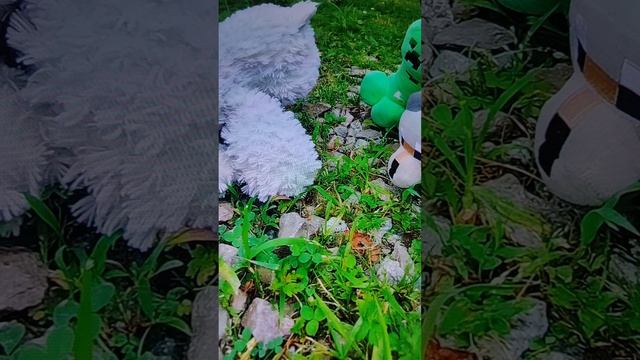 ДЭНИС И КРИПОНЯ ВСТРЕТИЛИ ПУХЛЯША НА ПРИРОДЕ