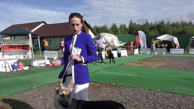 ОД Эра Водолея