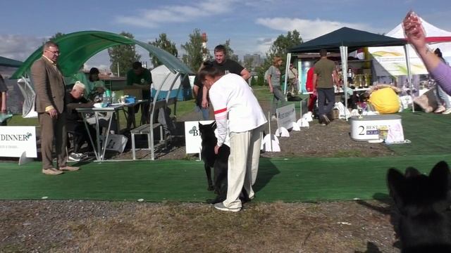 Ветер с Востока Нюша