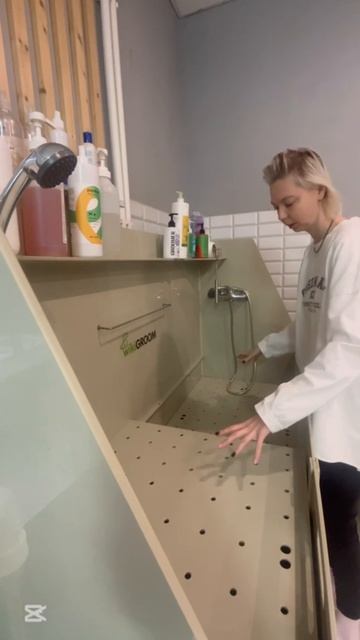 Ванна для груминга DEEP ведеообзор от Виктории Смирновой салон Groomer Smile