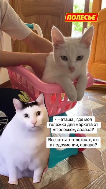 Тележка для маркета от "Полесье"