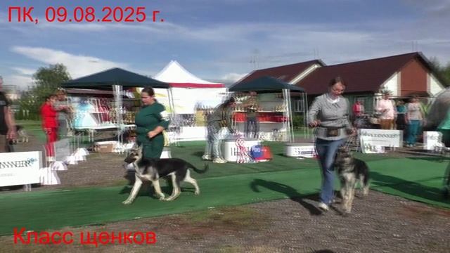 Класс щенков