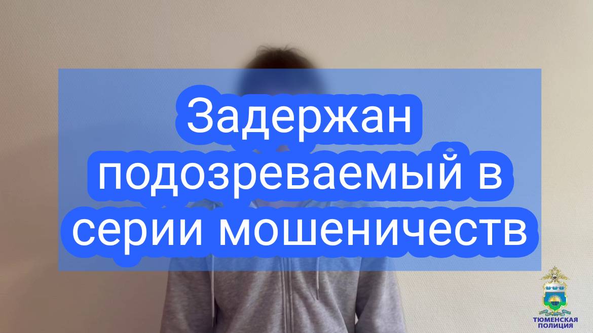 В Тюменской области полицейские задержали подозреваемого в серии мошеннических действий