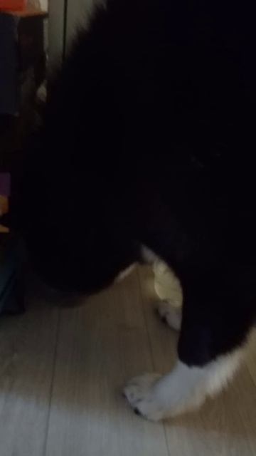 Брошенки-эпизод4