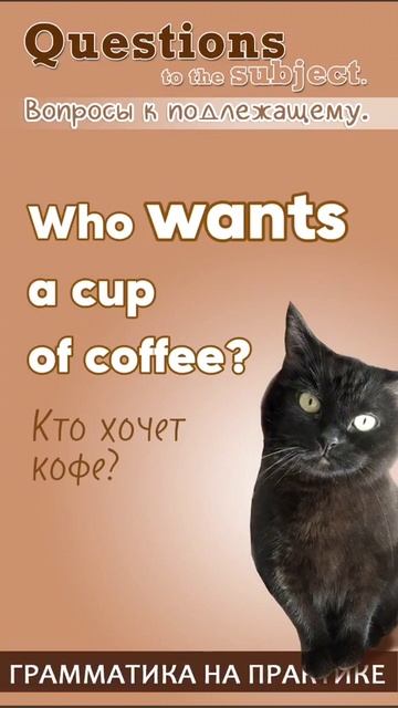 Вопросы к подлежащему.