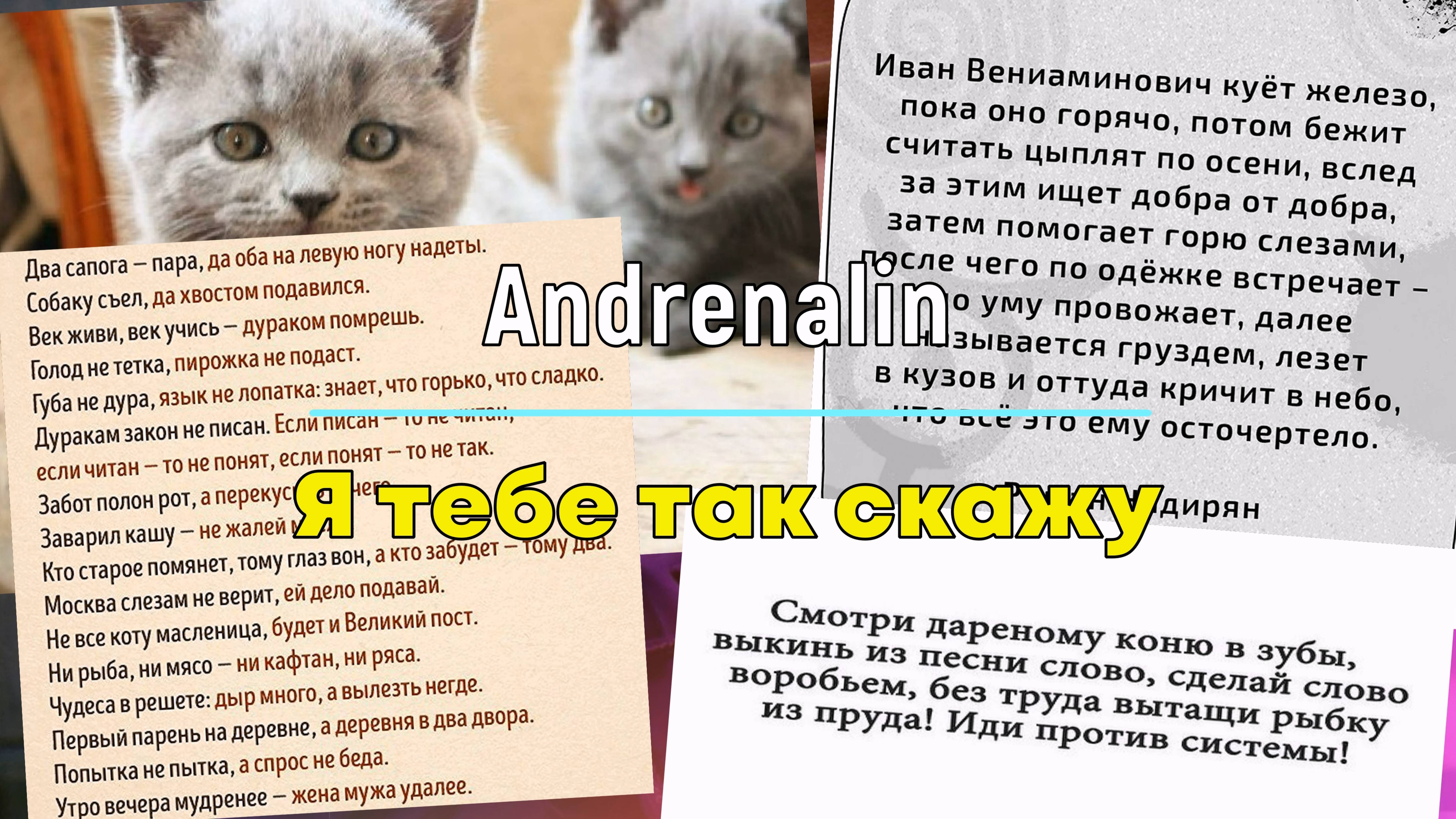 Andrenalin - Я тебе так скажу (ВИДЕО С ОБЛОЖКОЙ)