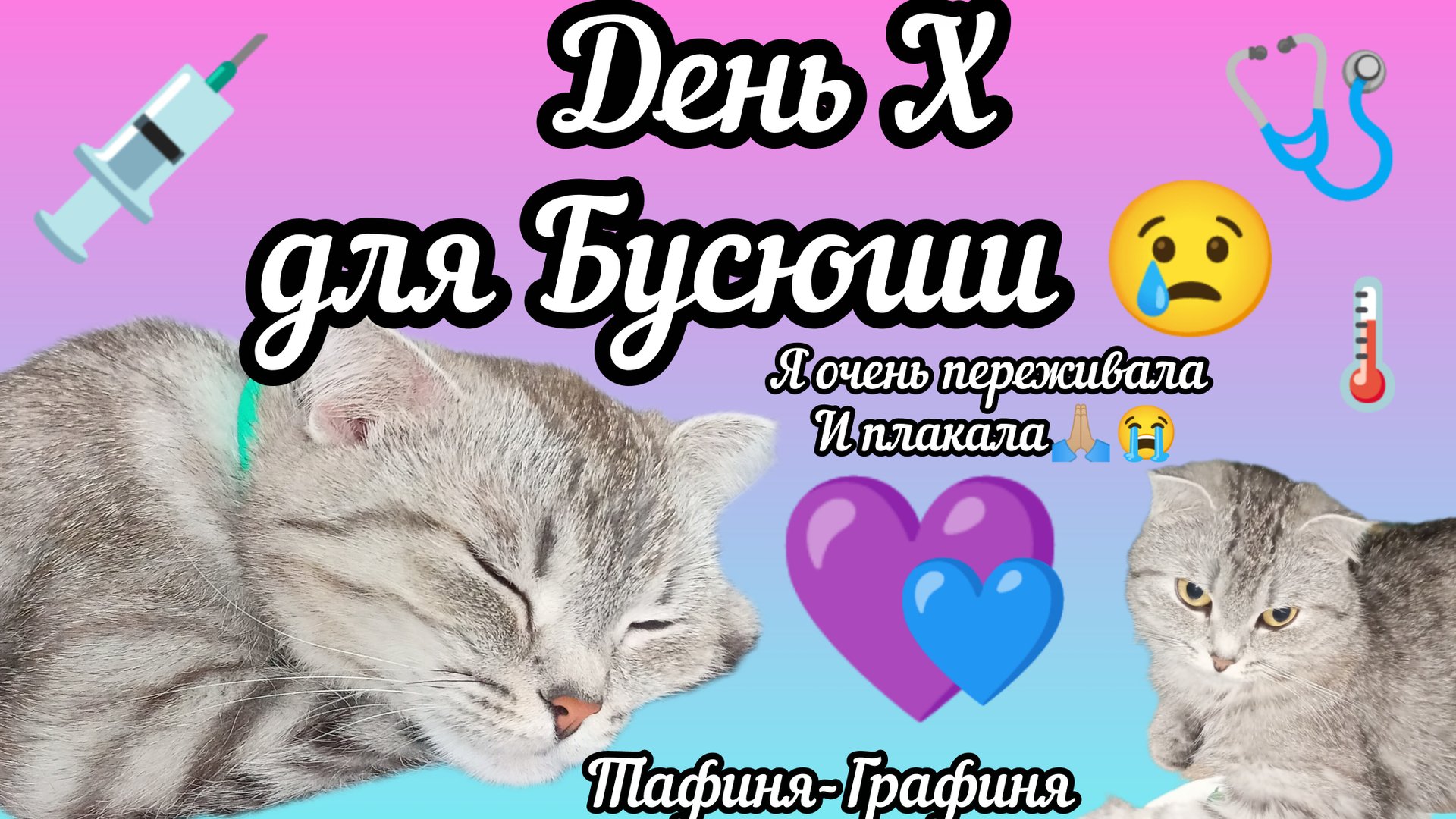 😻Две вет.клиники в один день/Бусюша отправилась на операцию😭/Перенесла плохо наркоз/Неделя боли😭
