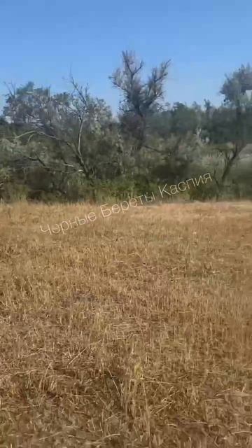 ⚡️Не «Орешником» единым