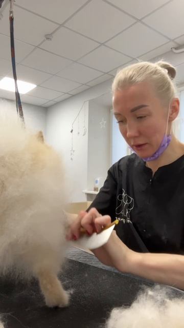 Виктория Смирнова и Гребень MOON S-образный (волна) 24 см PC-19