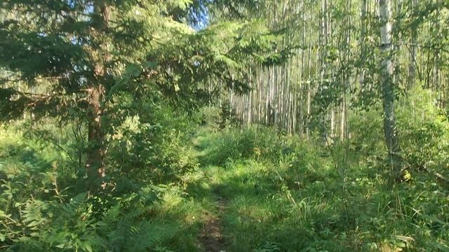 СНТ ВИТ    VID_20250817_144248