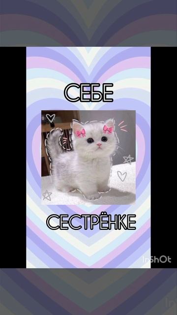 InShot_20250818_140205812