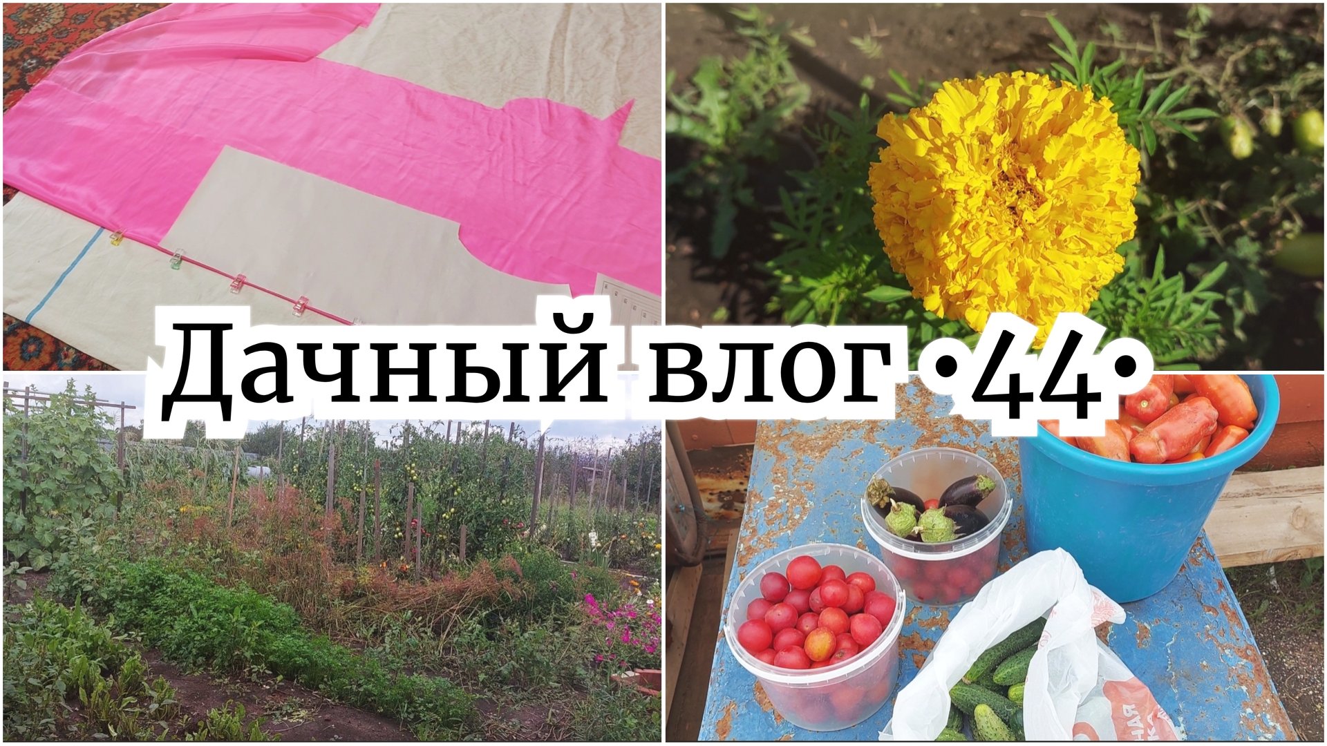 ОБХОД ГРЯДОК 🔥 ЖУКИ АТАКУЮТ ВСЁ 😱 СОБРАЛА ЗАМОРОЗКУ // УБОРКА ТРАВЫ