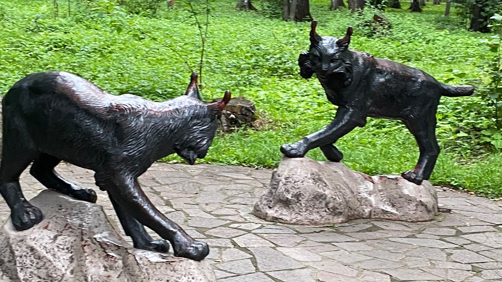 Банное озеро , платный вход на пляж санатория «Юбилейный» // август 2025 года