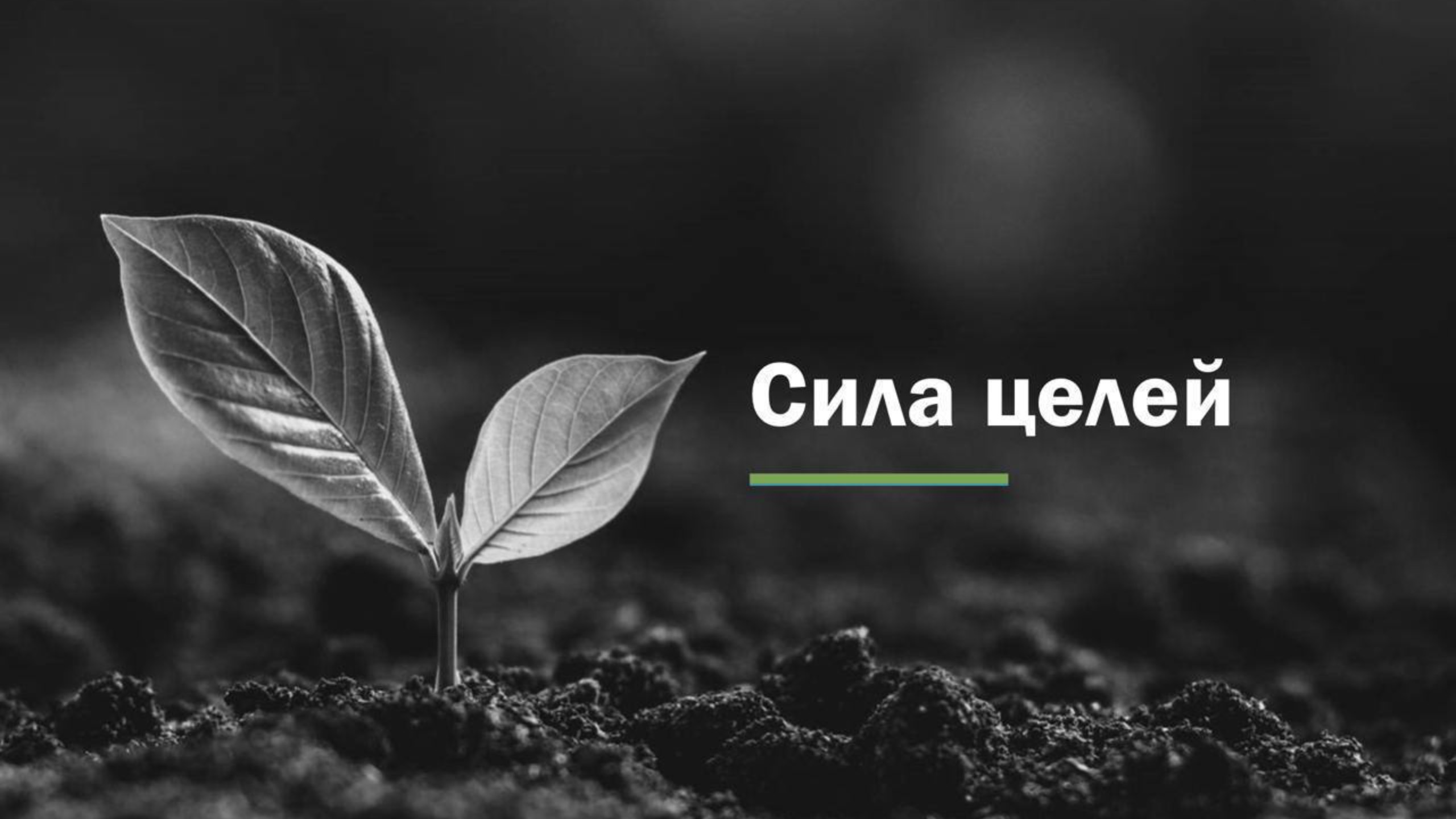 Марафон "Путь к вашим целям". Цели дают жизнь.