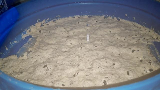 ТЕСТ ДРОЖЖЕЙ БЕЗ НАЗВАНИЯ