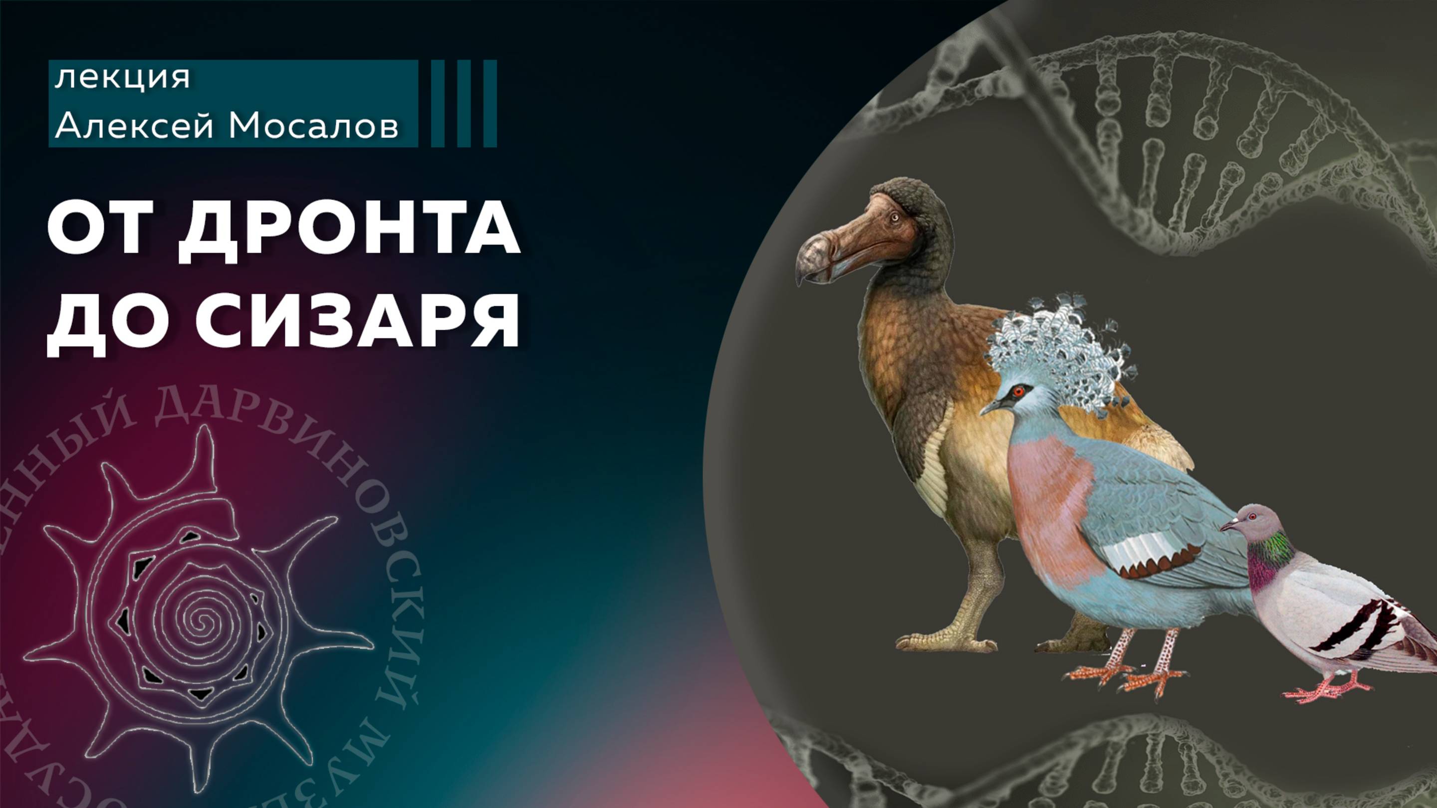 От дронта до сизаря