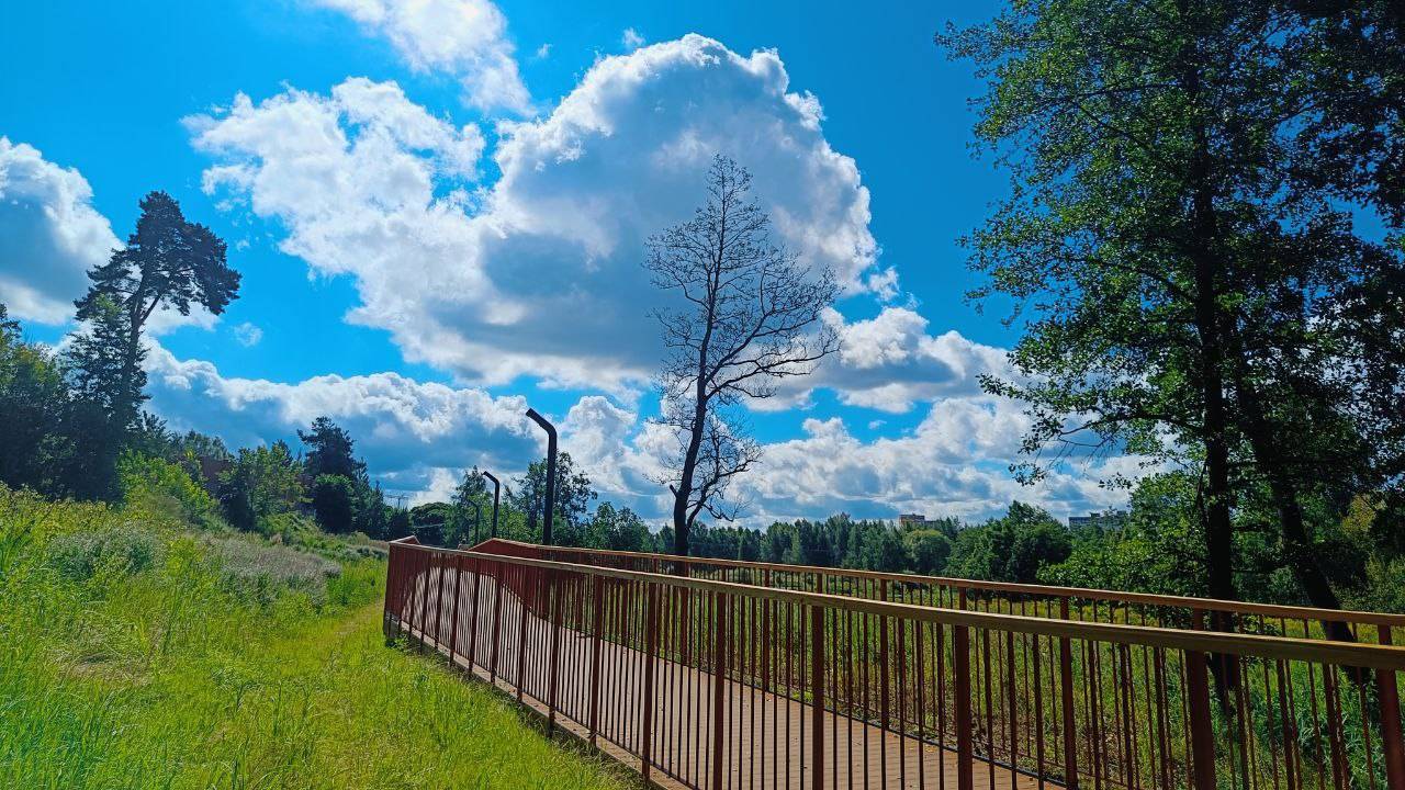 Лето 2025: Родник в парке Ивантеевки | История про холодильники