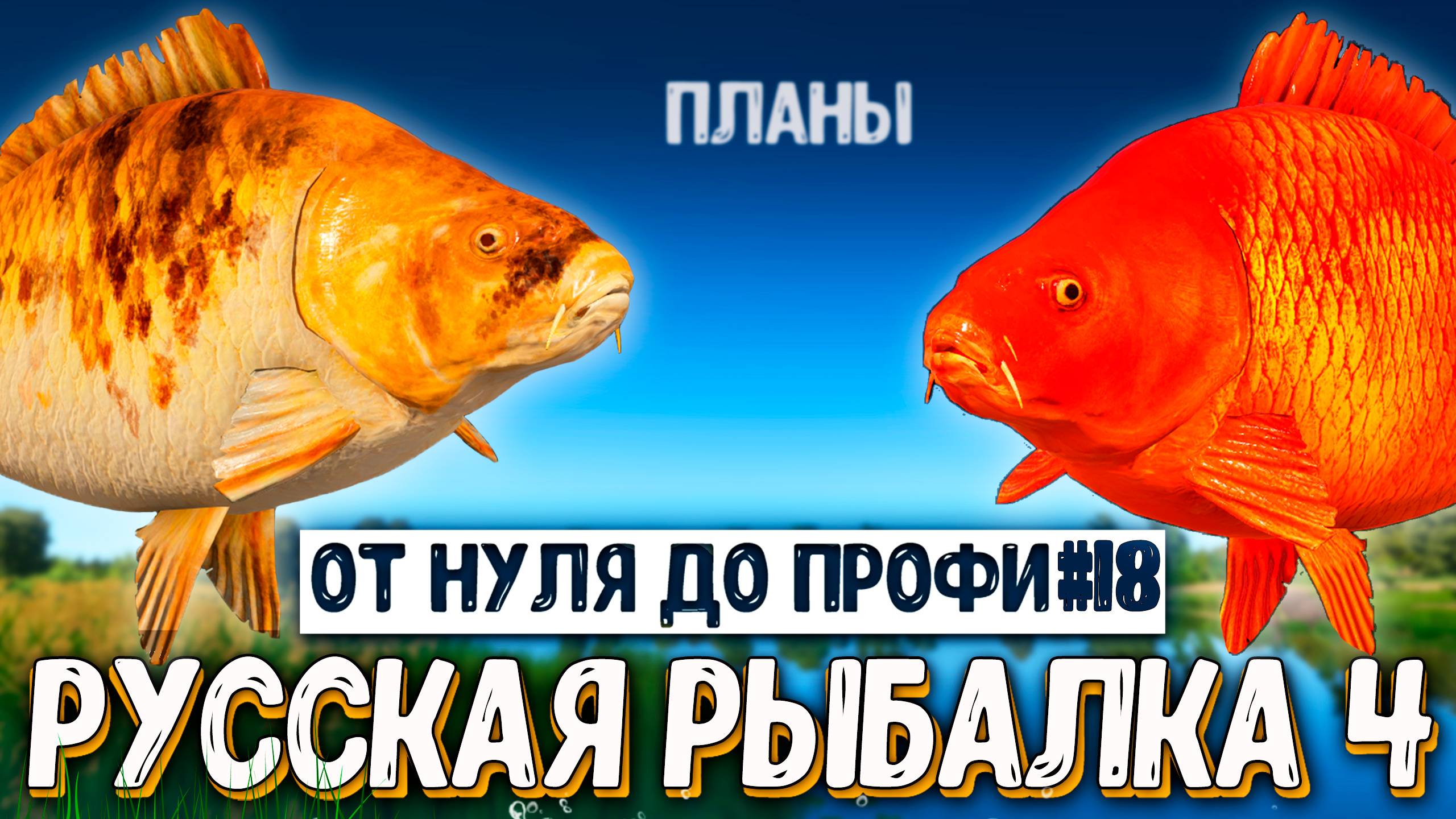 Rf4 я не удержался и купил прем а так же карповые удилища #рр4