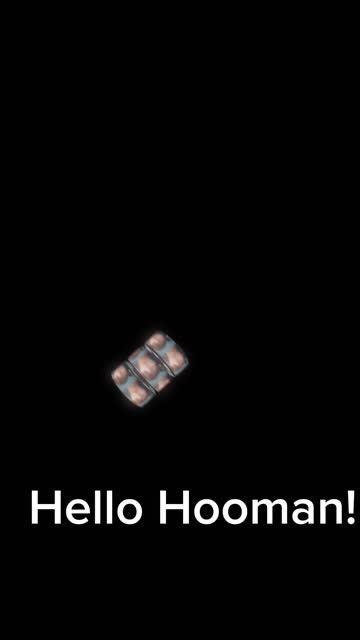 это видео где я прошу подписаться на мой канал.mp4