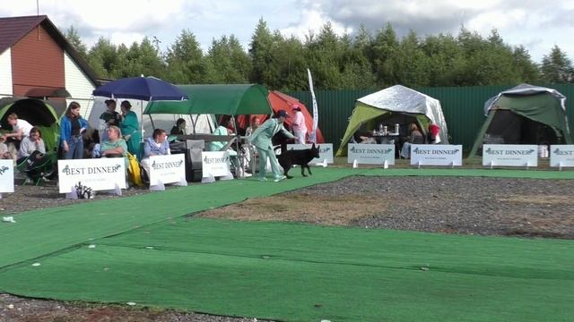 Фиелисс Хайрюза