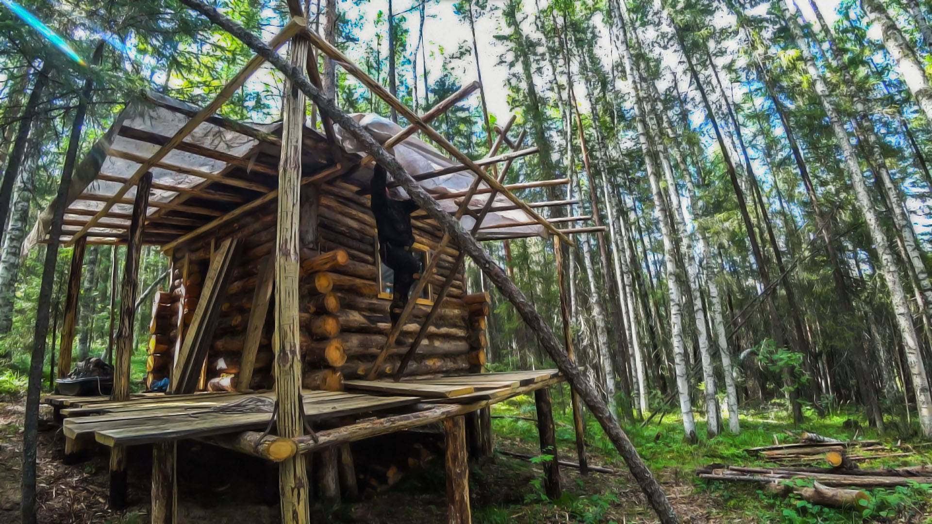 Терраса в объятиях тайги пол готов, звери в гостях + тайные кадры под водой