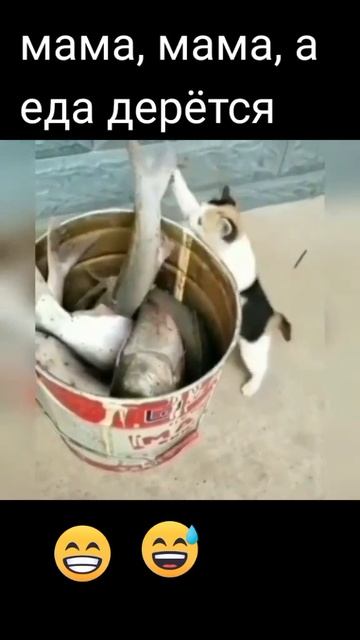 Еда дала сдачи