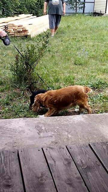 Хакасия, 2025_35. Дружба начинается с улыбки...