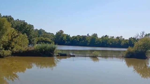 Приехала Эля с гостинцами👍Долгожданная встреча состоялась!Наш чудесный отдых в Холмских прудах👍❤️