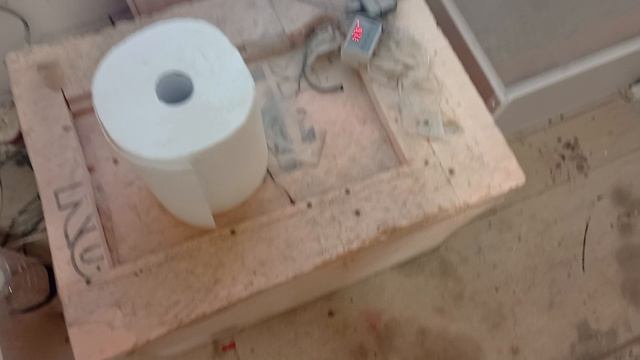 Перепелятам пять дней, пора в курятник.