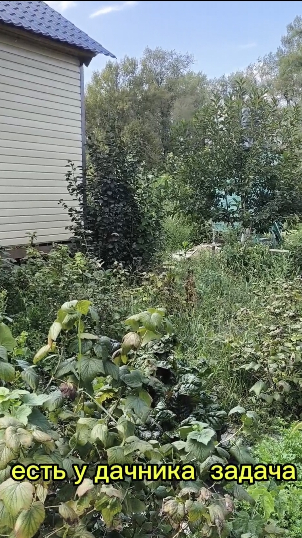 Есть у дачника задача)