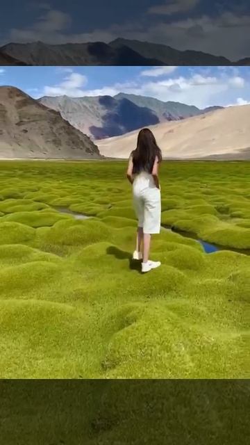 Долина Пуга в Индии