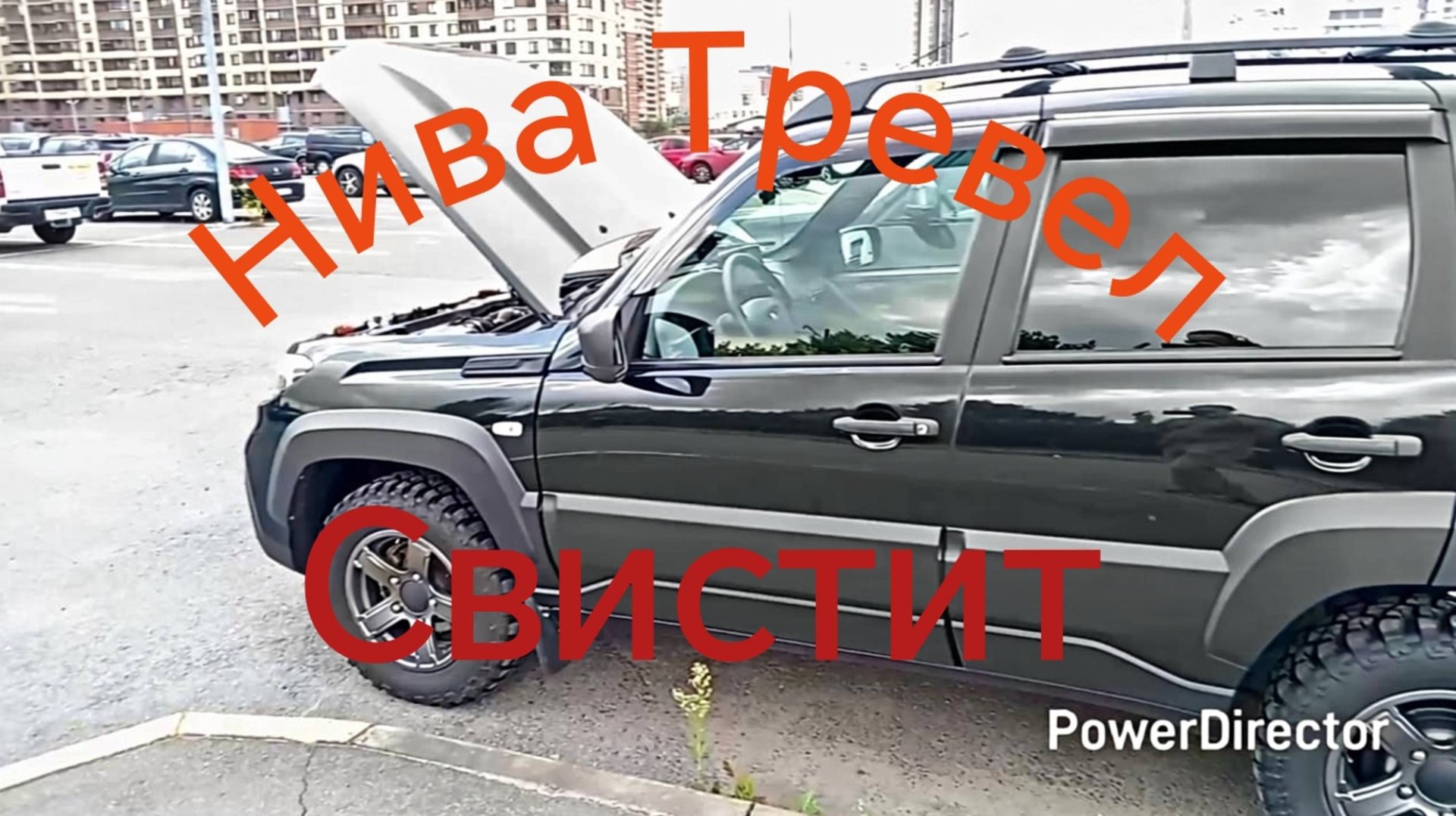 Нива Тревел Сильный Свист /// Как натянуть приводной ремень своими руками