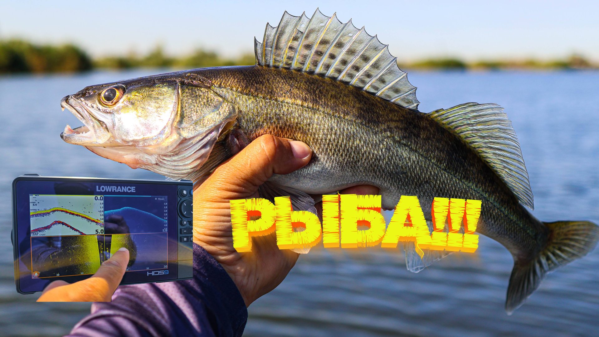 Капризный СУДАК!!! ВОТ что ему нужно было😉